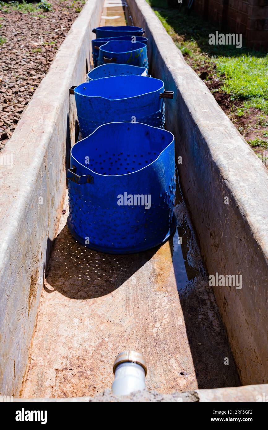 coffee dryer greenhouse solar dryer Structure for drying the coffee ...