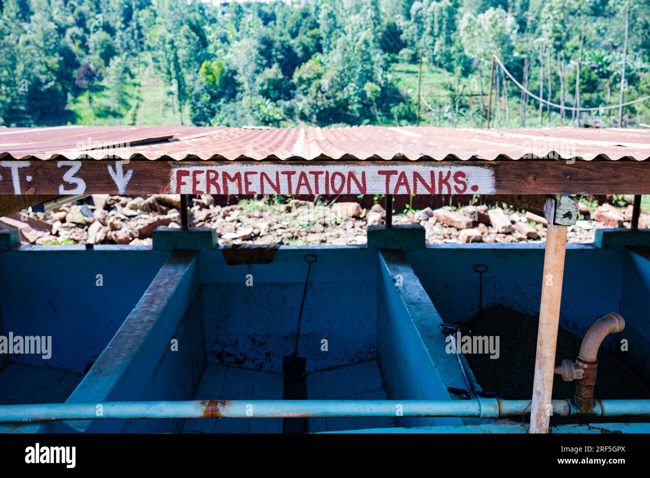 coffee dryer greenhouse solar dryer Structure for drying the coffee ...