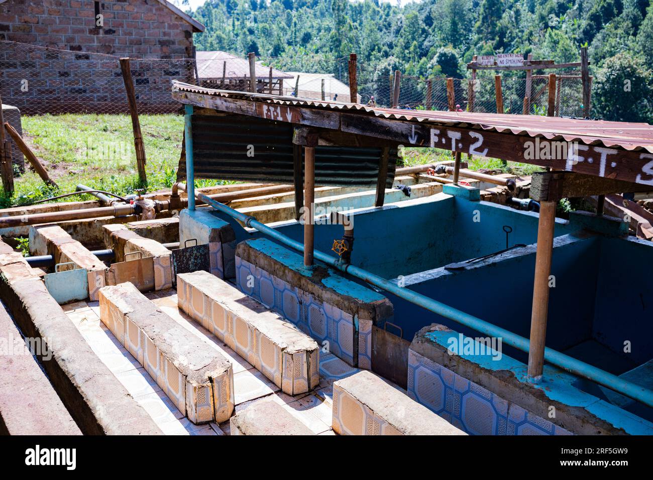 coffee dryer greenhouse solar dryer Structure for drying the coffee ...