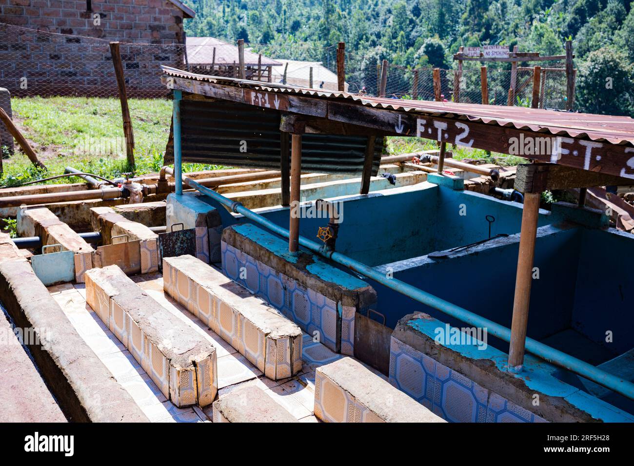 coffee dryer greenhouse solar dryer Structure for drying the coffee ...