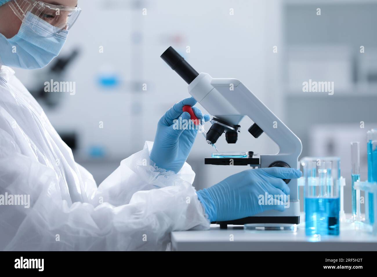 Young scientist dripping sample onto Petri dish while working with ...