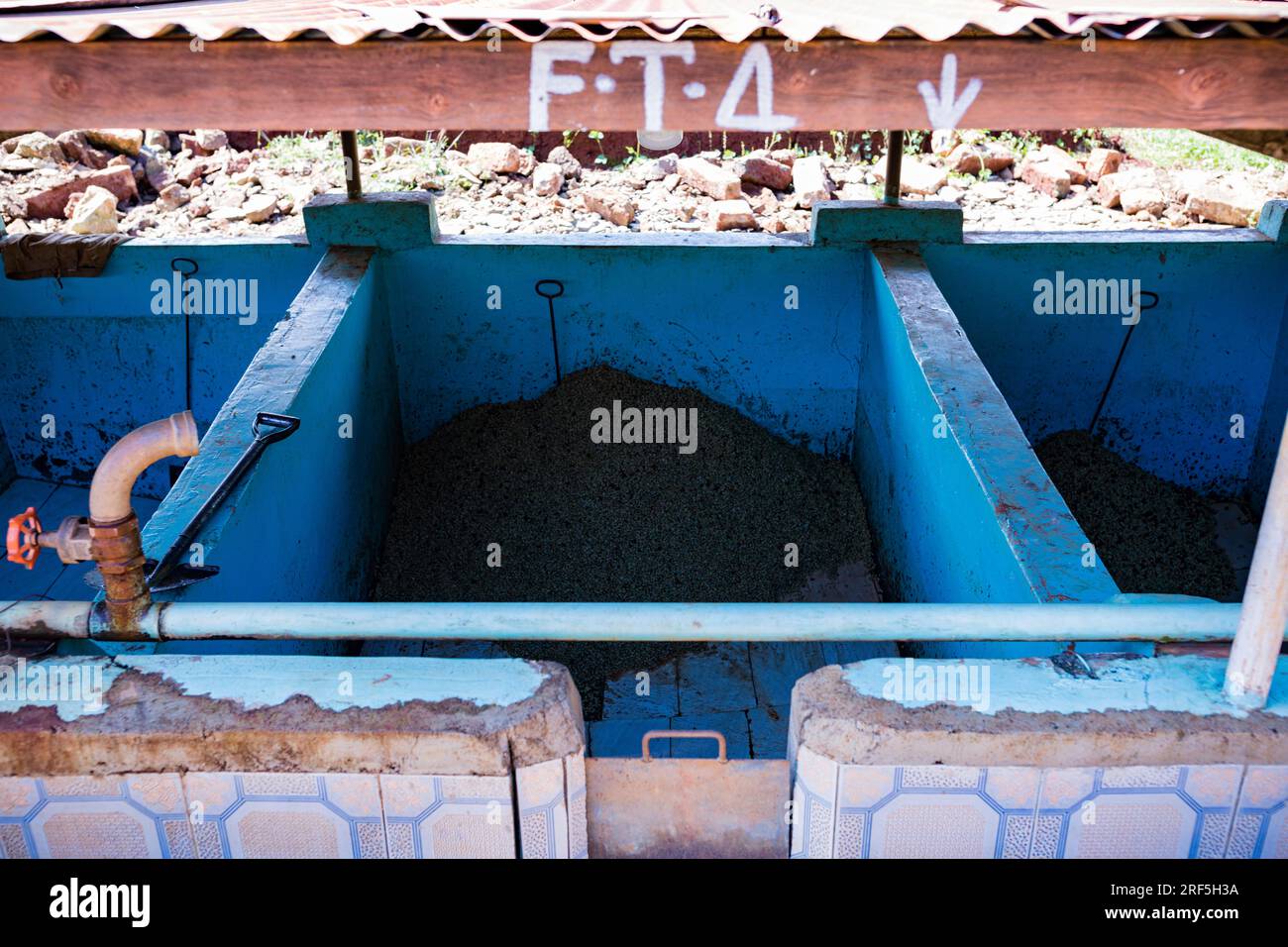 coffee dryer greenhouse solar dryer Structure for drying the coffee ...