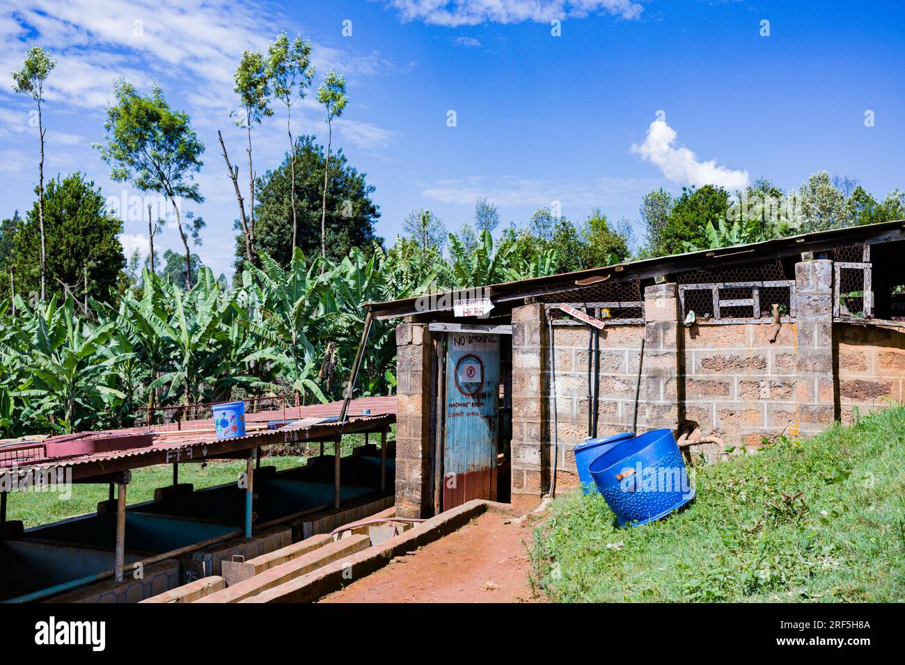 coffee dryer greenhouse solar dryer Structure for drying the coffee ...