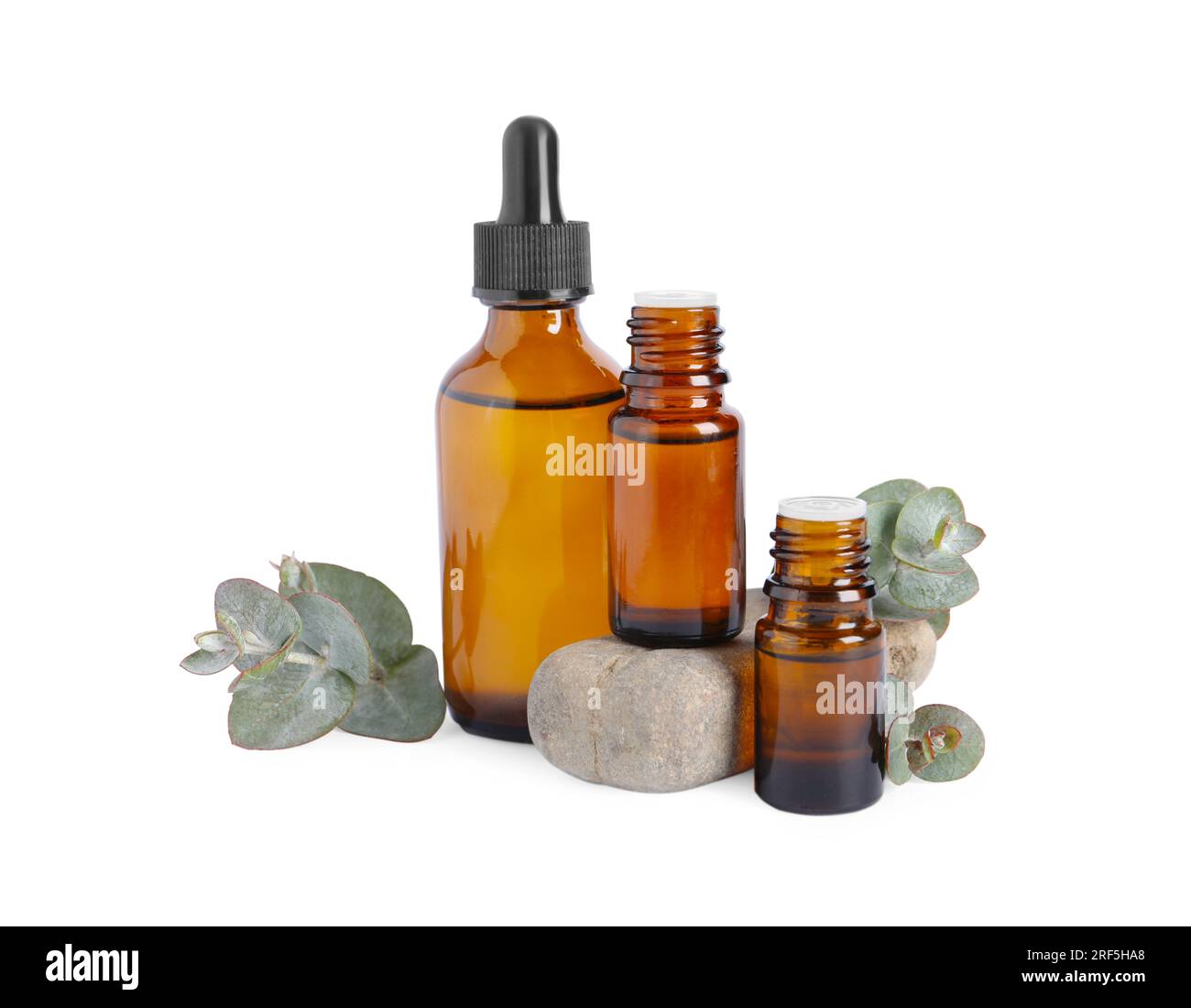 Bottles of eucalyptus essential oil, stone and plant branches on white ...
