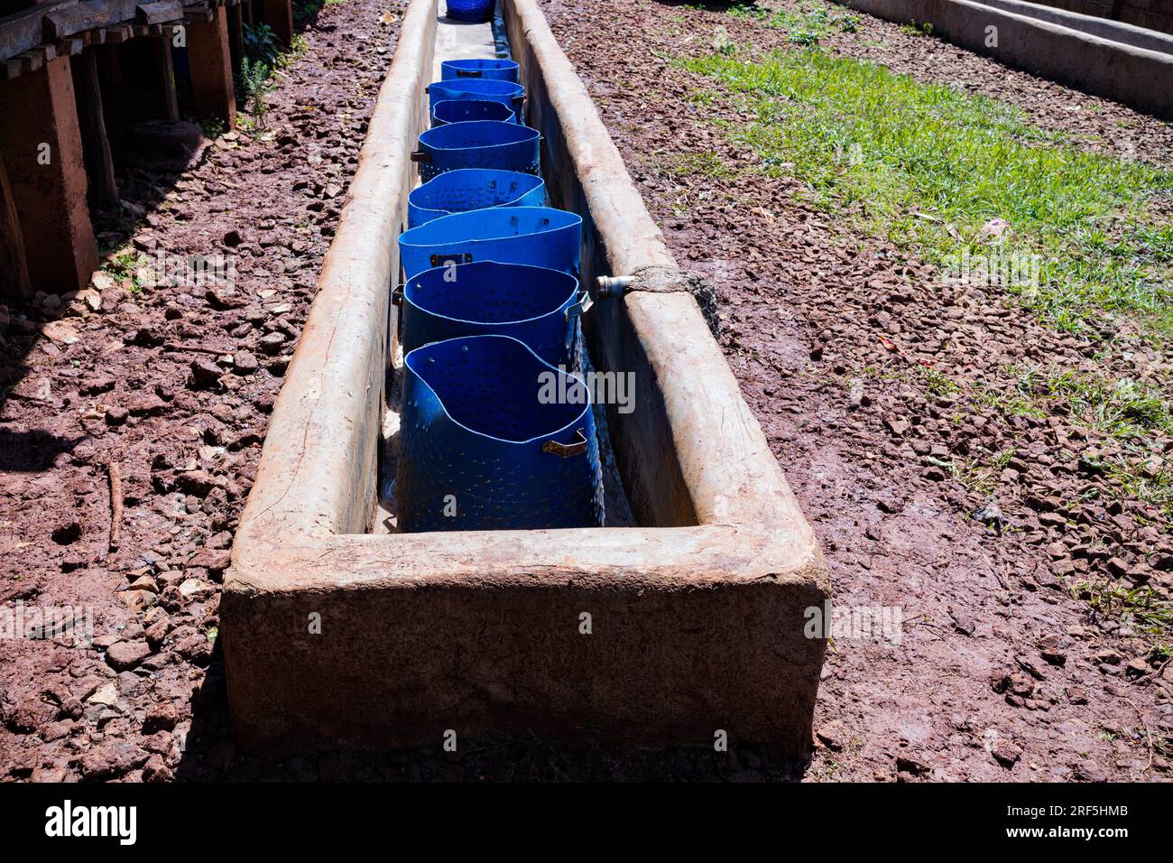 coffee dryer greenhouse solar dryer Structure for drying the coffee ...