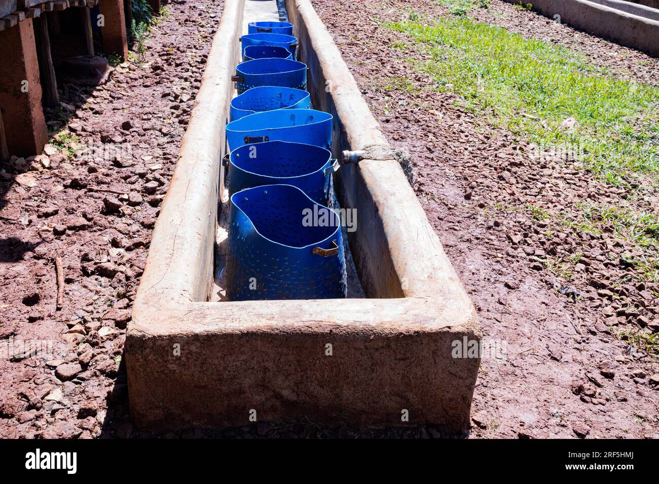coffee dryer greenhouse solar dryer Structure for drying the coffee ...