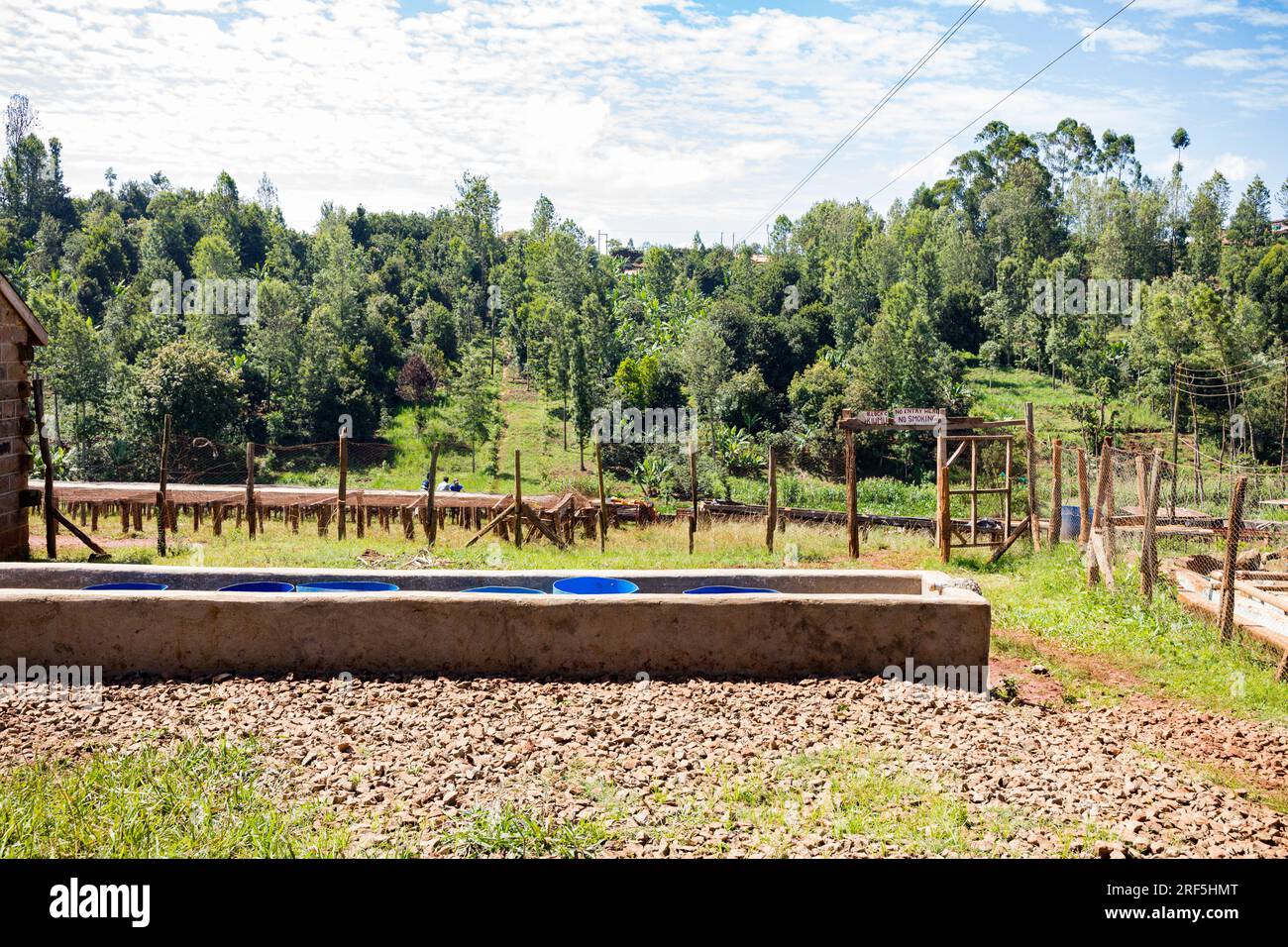 coffee dryer greenhouse solar dryer Structure for drying the coffee ...