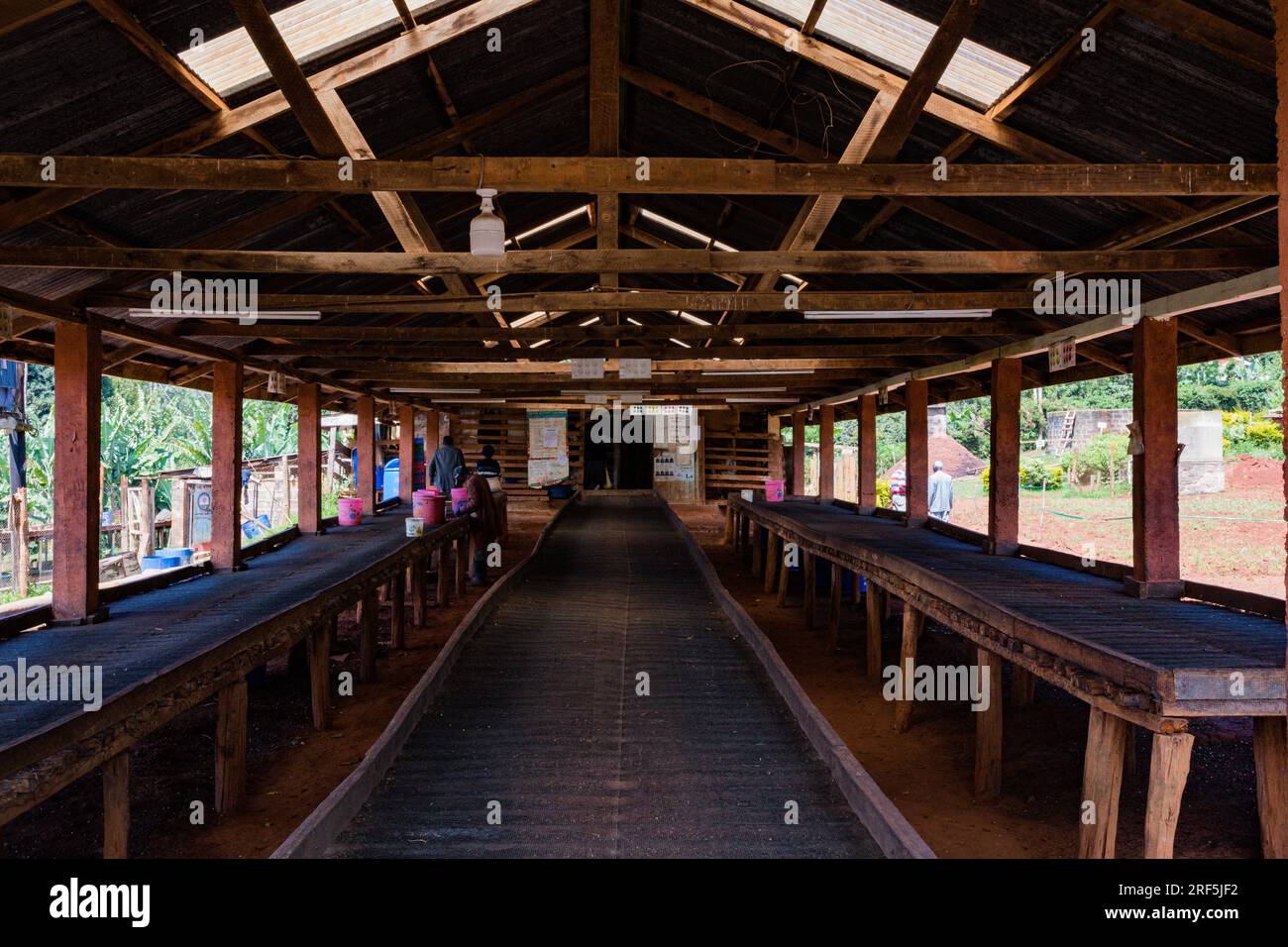 coffee dryer greenhouse solar dryer Structure for drying the coffee ...