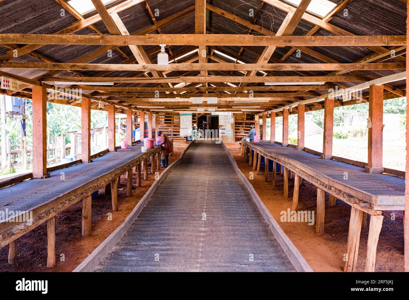 coffee dryer greenhouse solar dryer Structure for drying the coffee ...