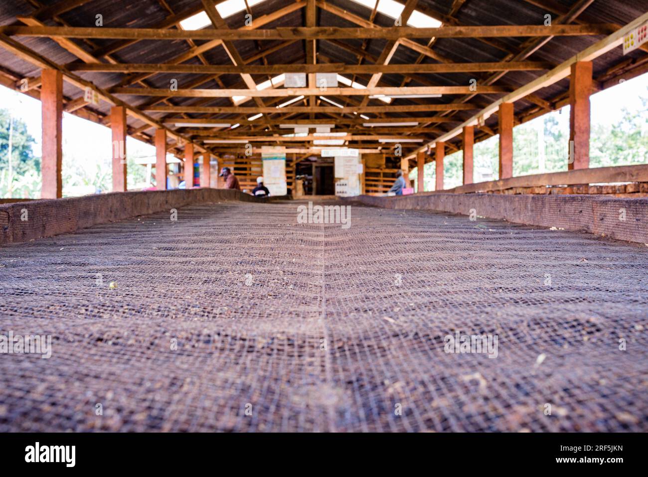 coffee dryer greenhouse solar dryer Structure for drying the coffee ...