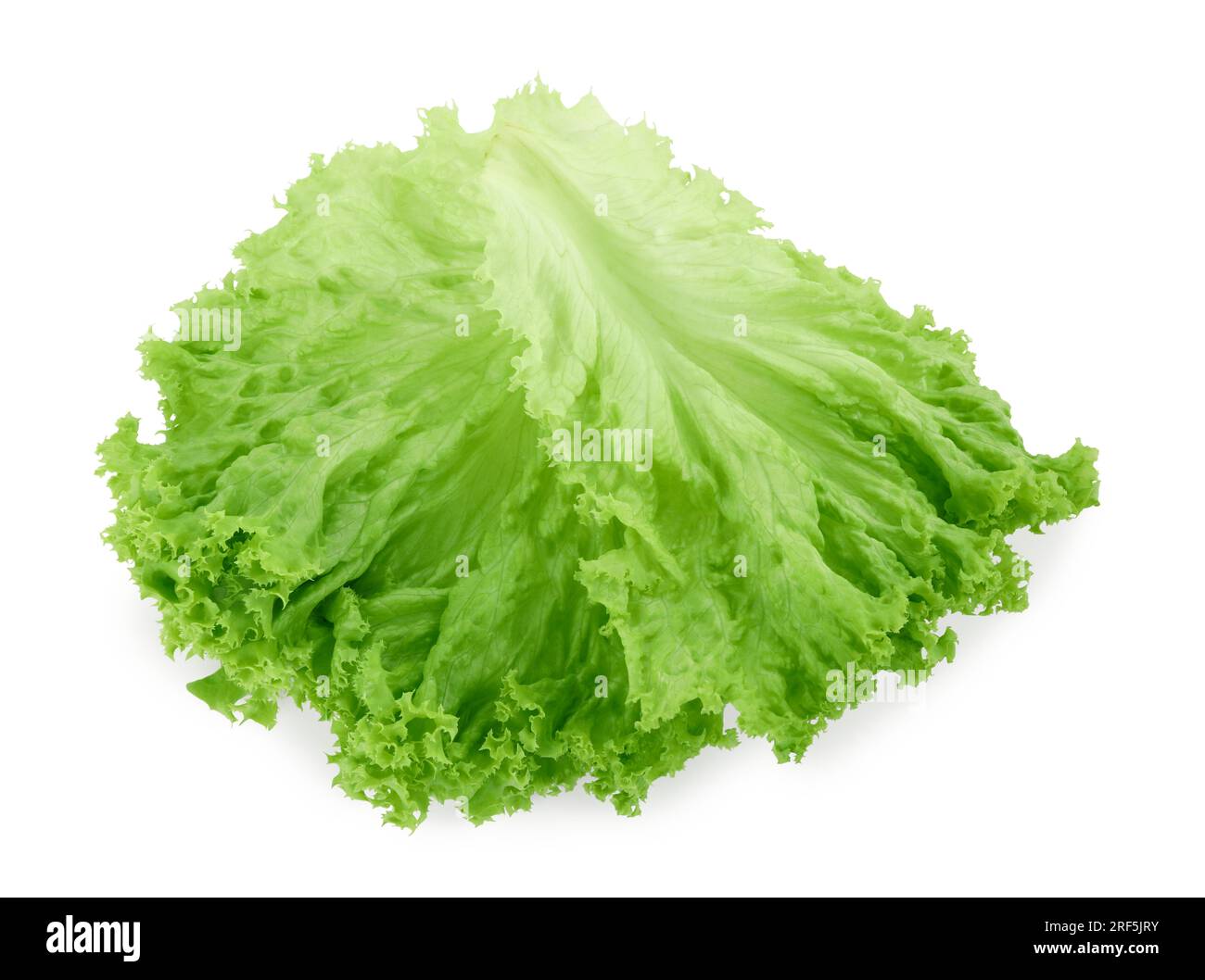 One green lettuce leaf isolated on white. Salad greens Stock Photo - Alamy