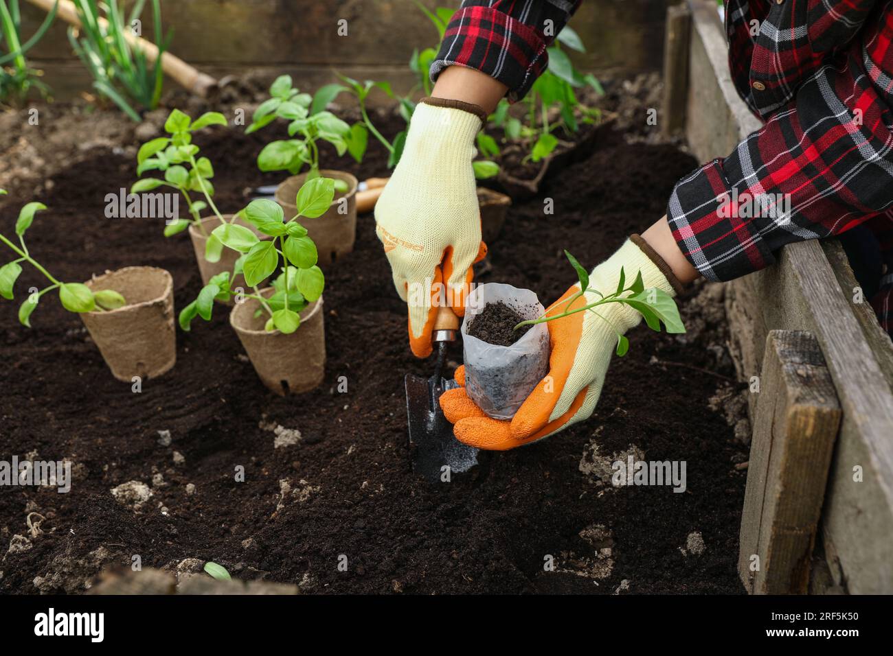 Woman planting summer container hi-res stock photography and images - Alamy