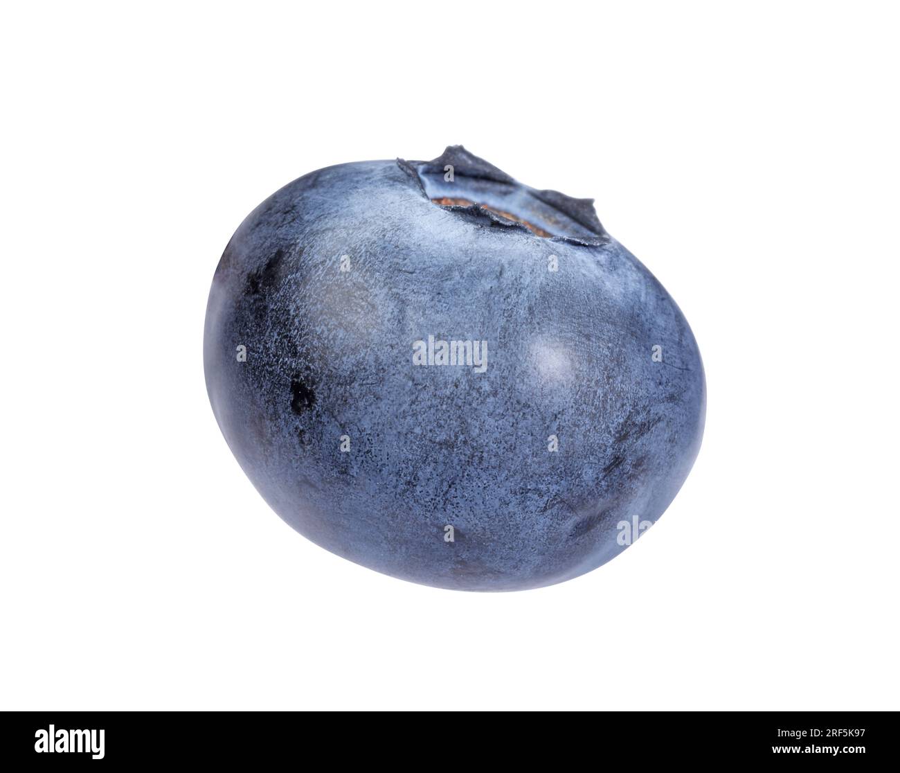 One fresh ripe blueberry isolated on white Stock Photo - Alamy