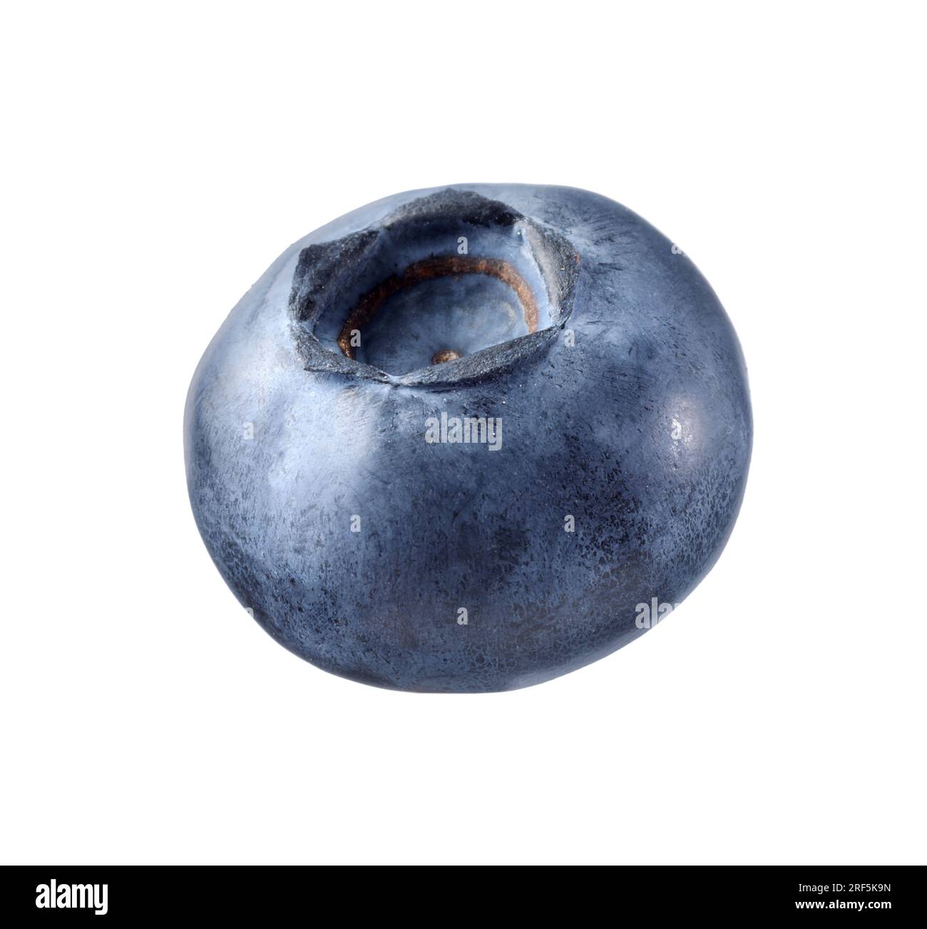 One fresh ripe blueberry isolated on white Stock Photo - Alamy