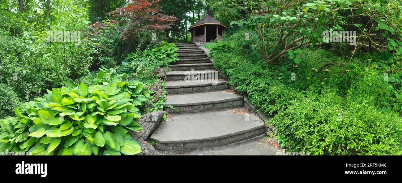 Footpath steps hi-res stock photography and images - Alamy