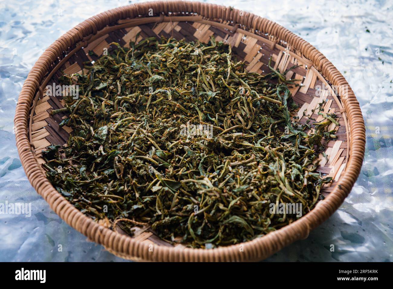 Tea Leaves Selection Sorting Processing In Kiambu County Kenya East ...