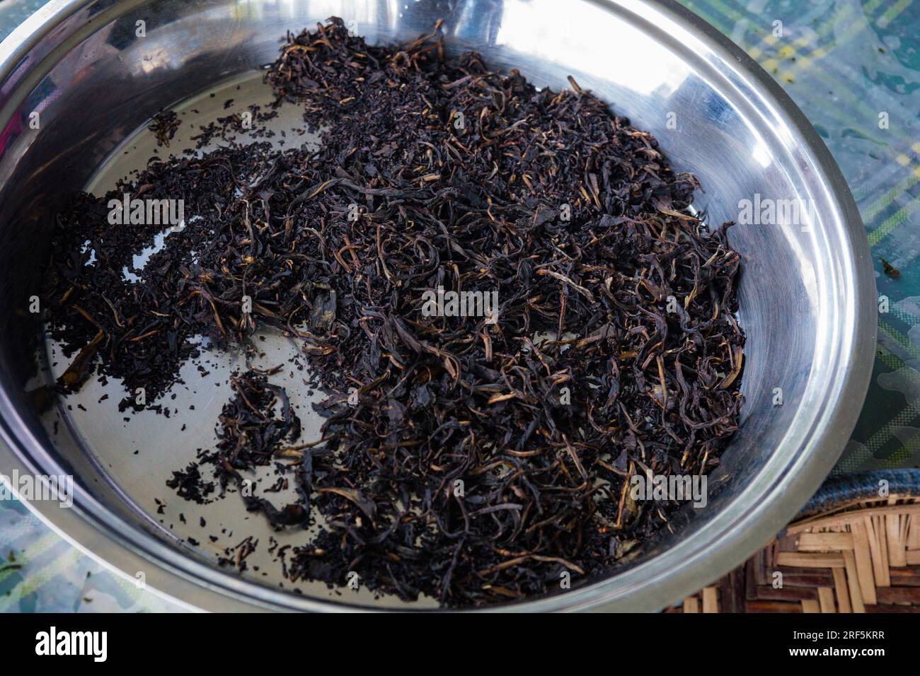 Tea Leaves Selection Sorting Processing In Kiambu County Kenya East ...