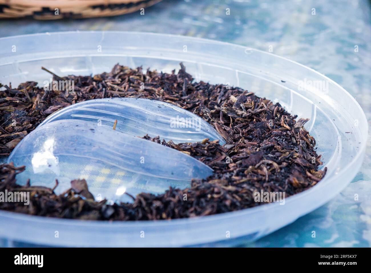 Tea Leaves Selection Sorting Processing In Kiambu County Kenya East ...