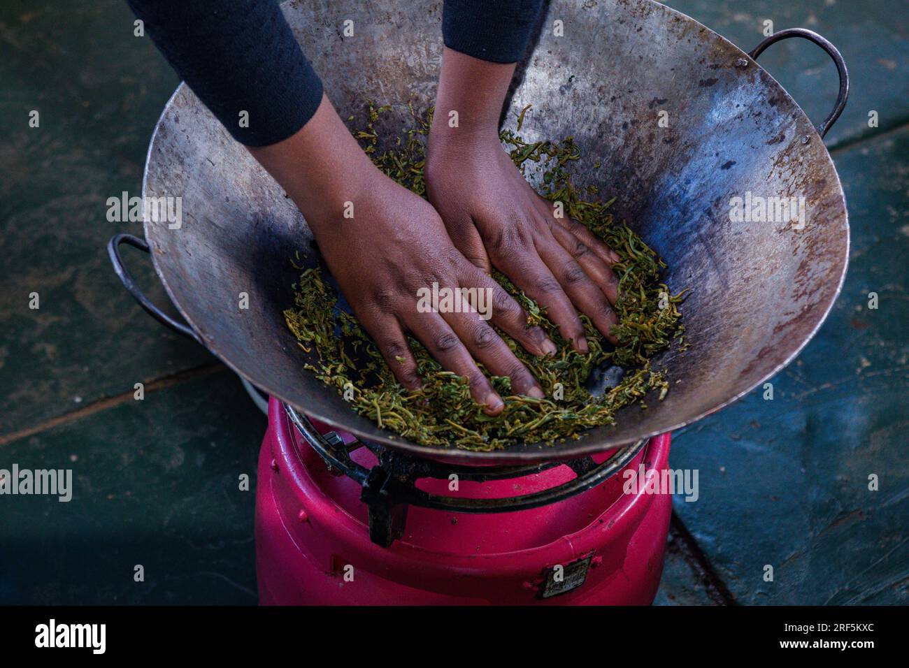 Tea Leaves Selection Sorting Processing In Kiambu County Kenya East ...