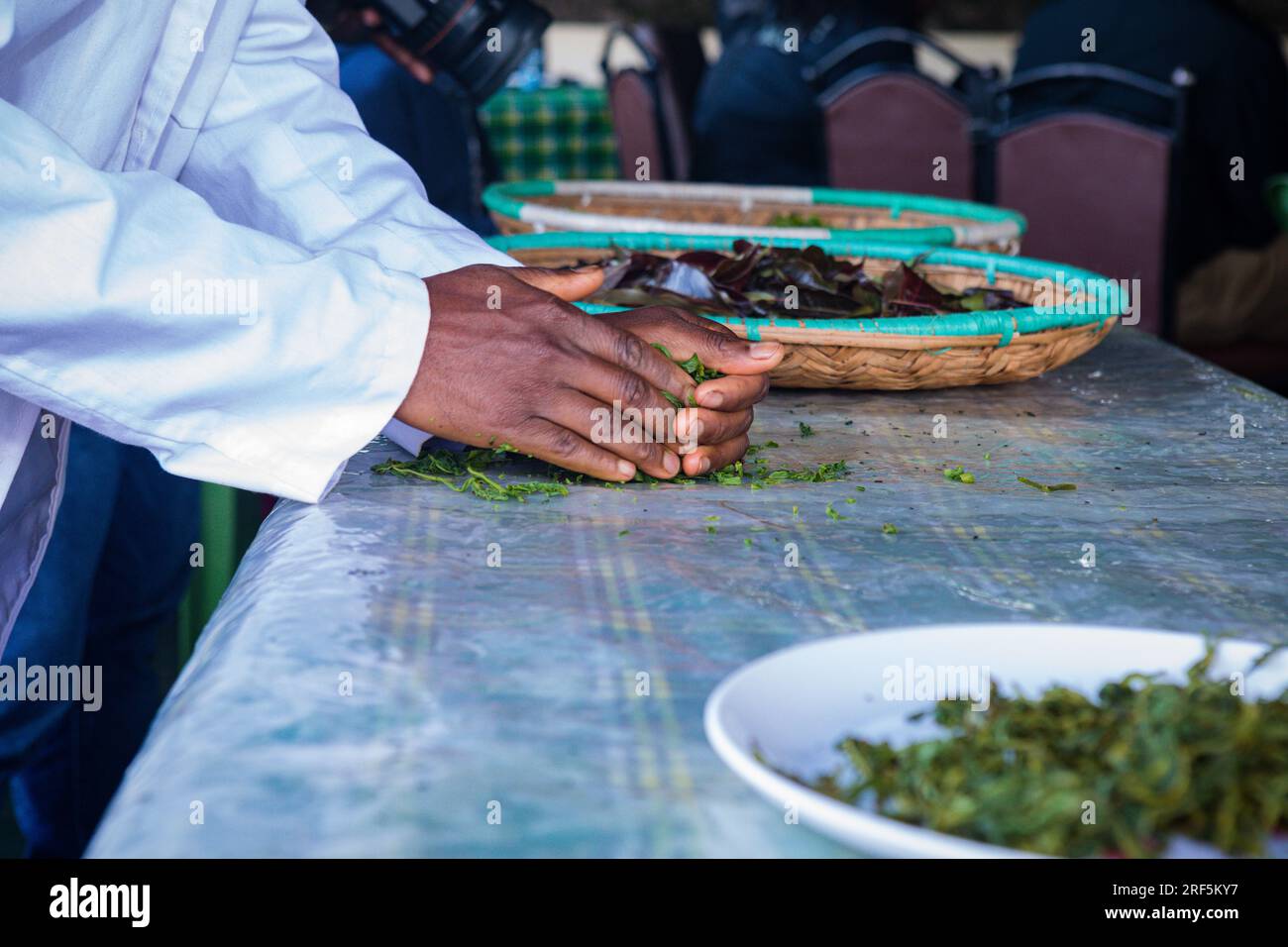 Tea Leaves Selection Sorting Processing In Kiambu County Kenya East Africa travel Farming ...