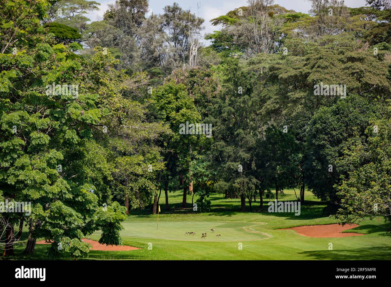 Windsor Golf Country Club Hotel In Nairobi City County Kenya East ...
