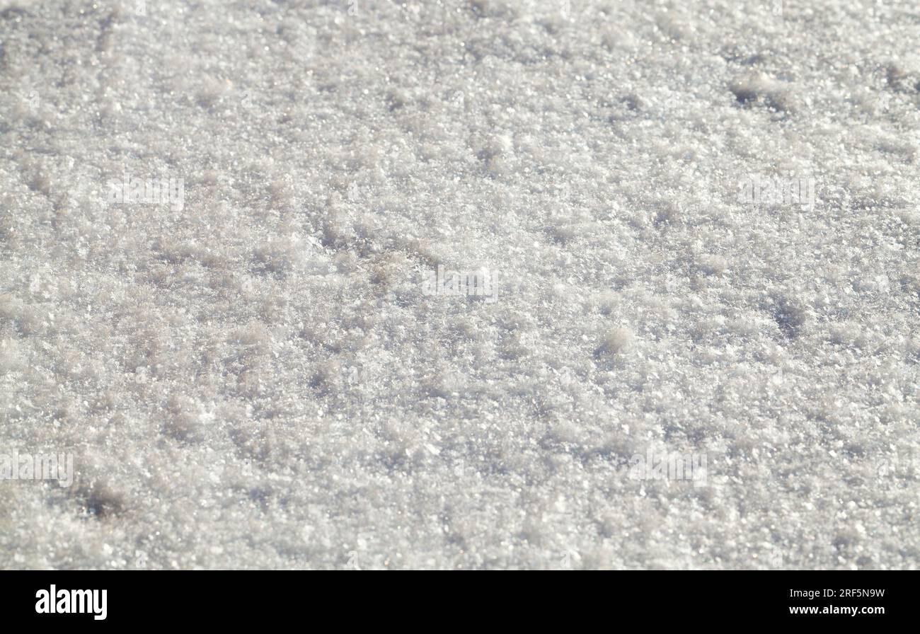 white pure snow after blizzards and snowfalls, deep snowdrifts in Sunny ...