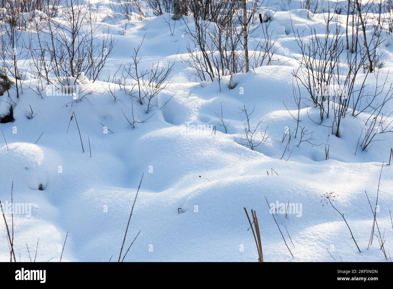 deep drifts of soft snow in the winter season, snow in the winter is ...