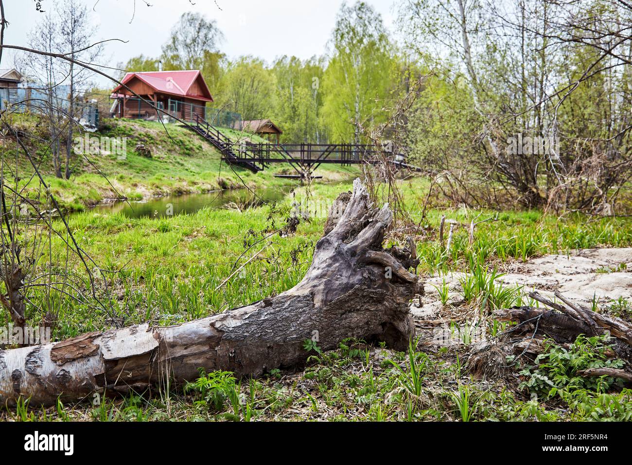 Beautiful old fallen trees roots hi-res stock photography and images ...