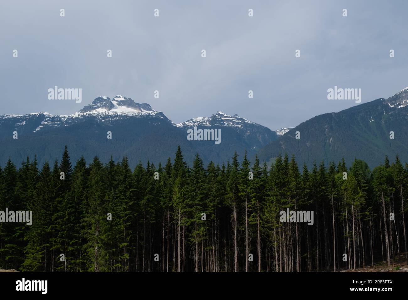 Revelstoke bc hi-res stock photography and images - Alamy