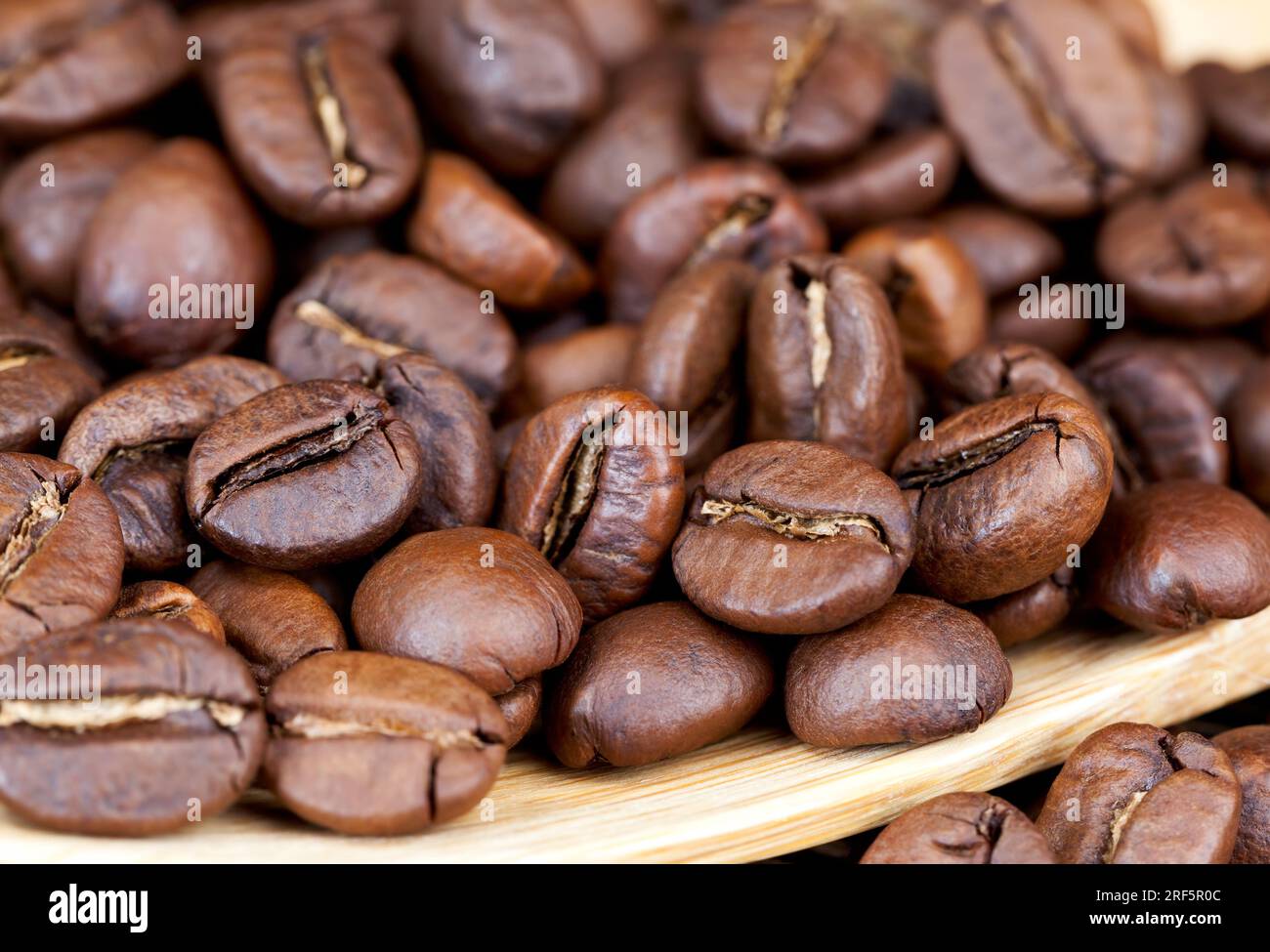 coffee beans for the production of delicious coffee in a measuring ...