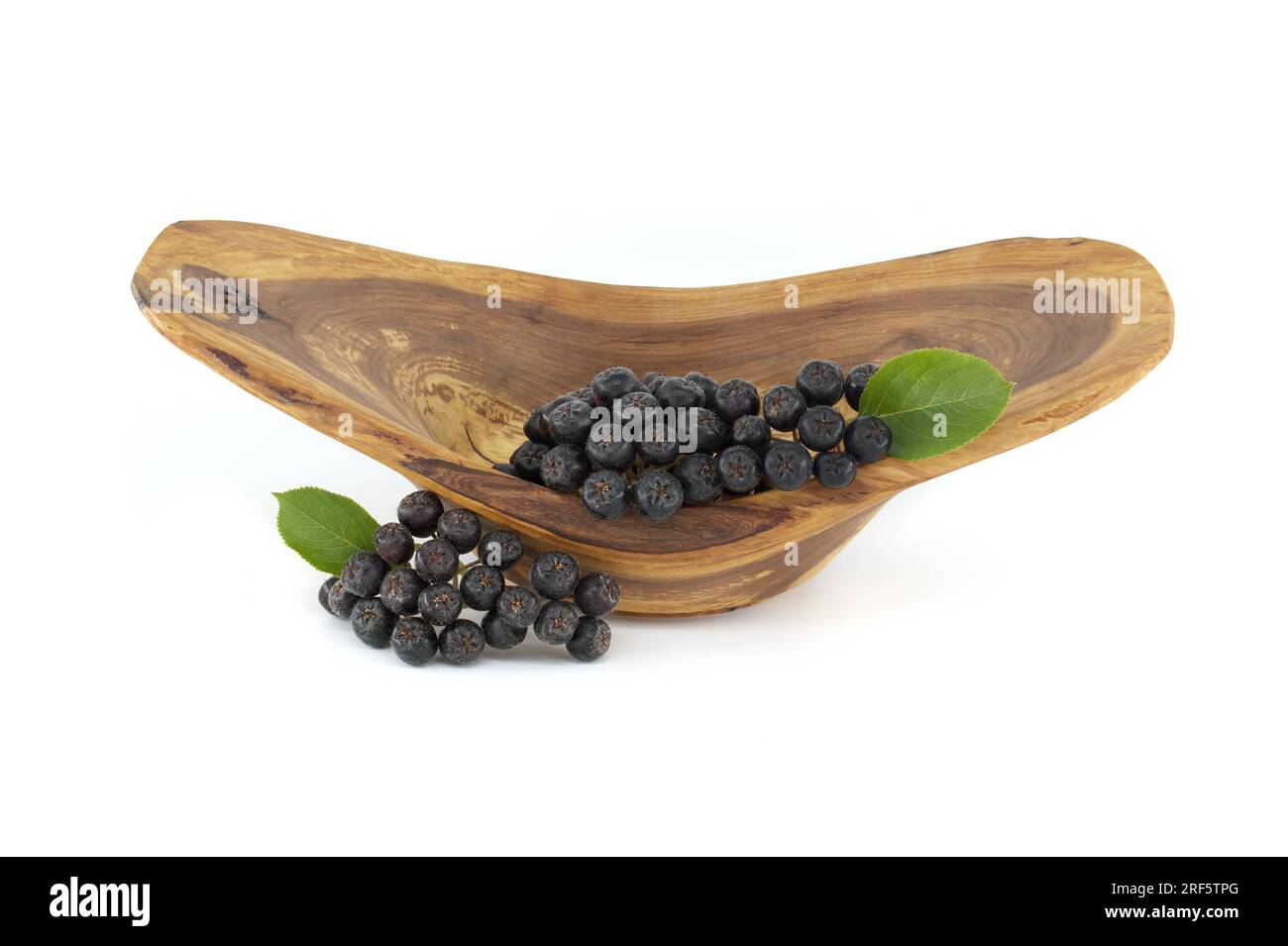 Aronia berries with a green leaf isolated on white background, Aronia ...