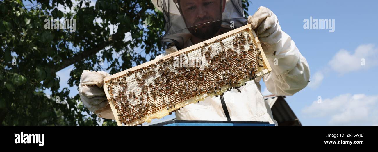 Beekeeper in uniform near hi-res stock photography and images - Alamy