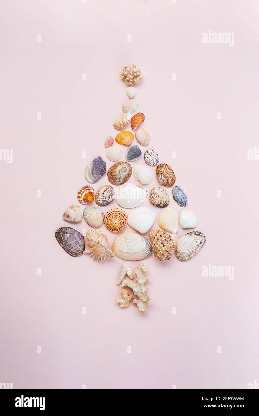Marine life christmas tree hi-res stock photography and images - Alamy