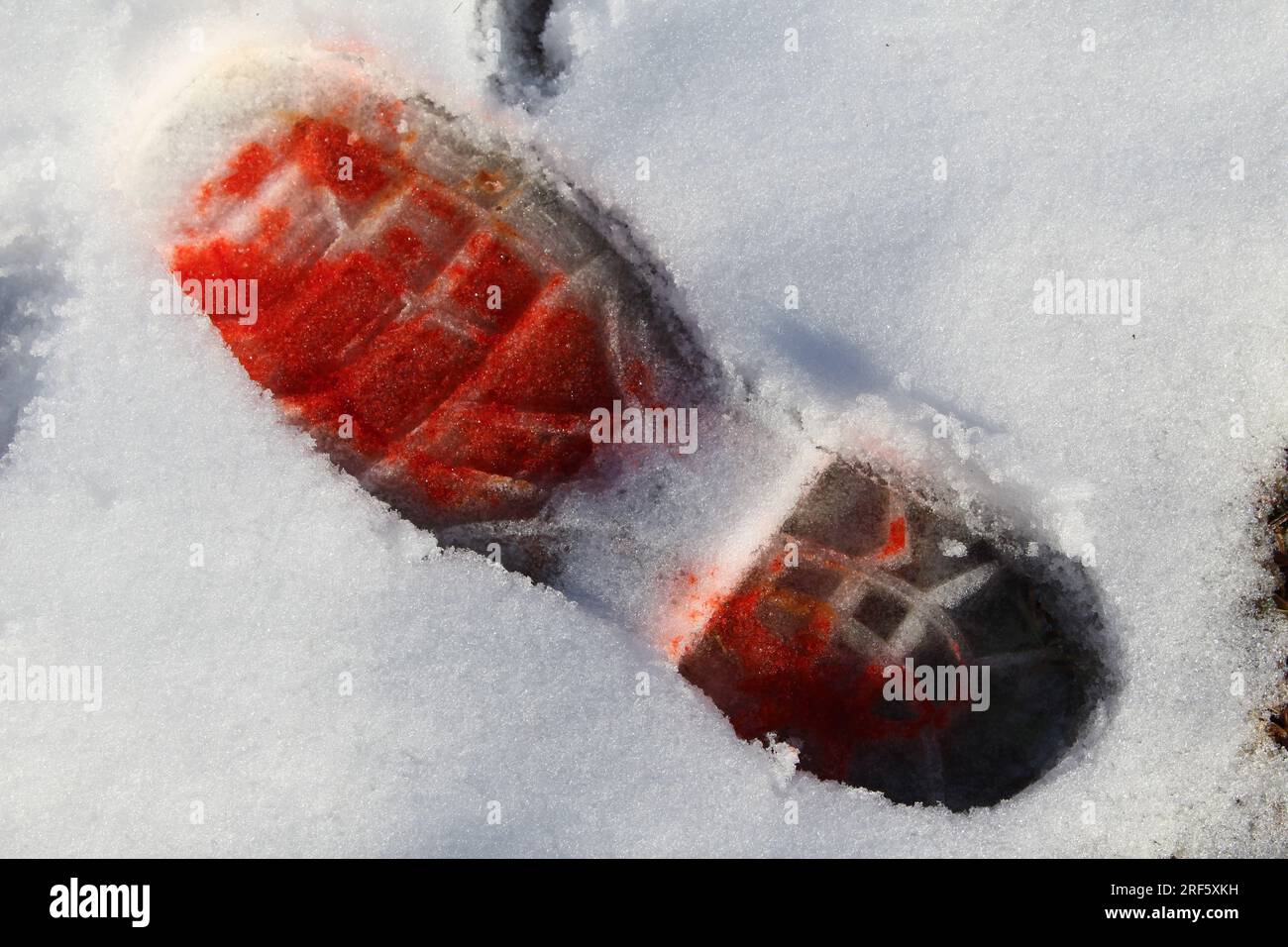 Boody Boot Print in Snow Stock Photo - Alamy