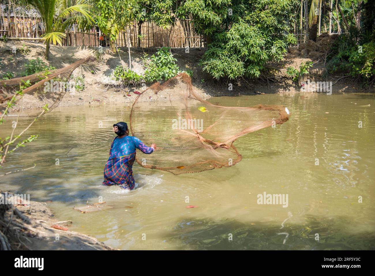 A Bangladeshi woman catching fish with cast net Stock Photo - Alamy