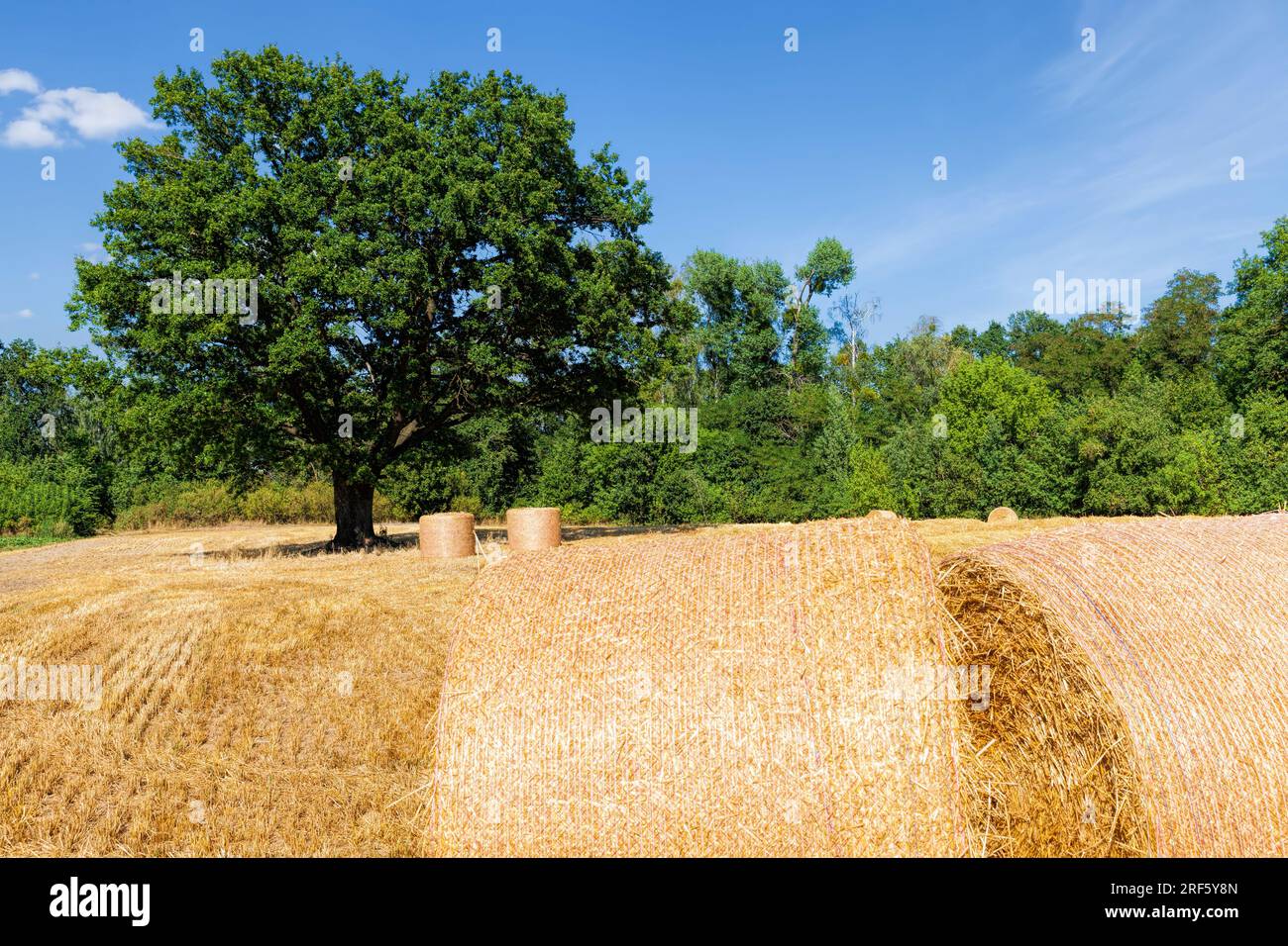Waste free production hi-res stock photography and images - Alamy