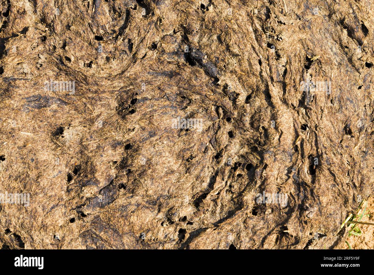 dry manure that is used to fertilize the territory of a rural field and ...