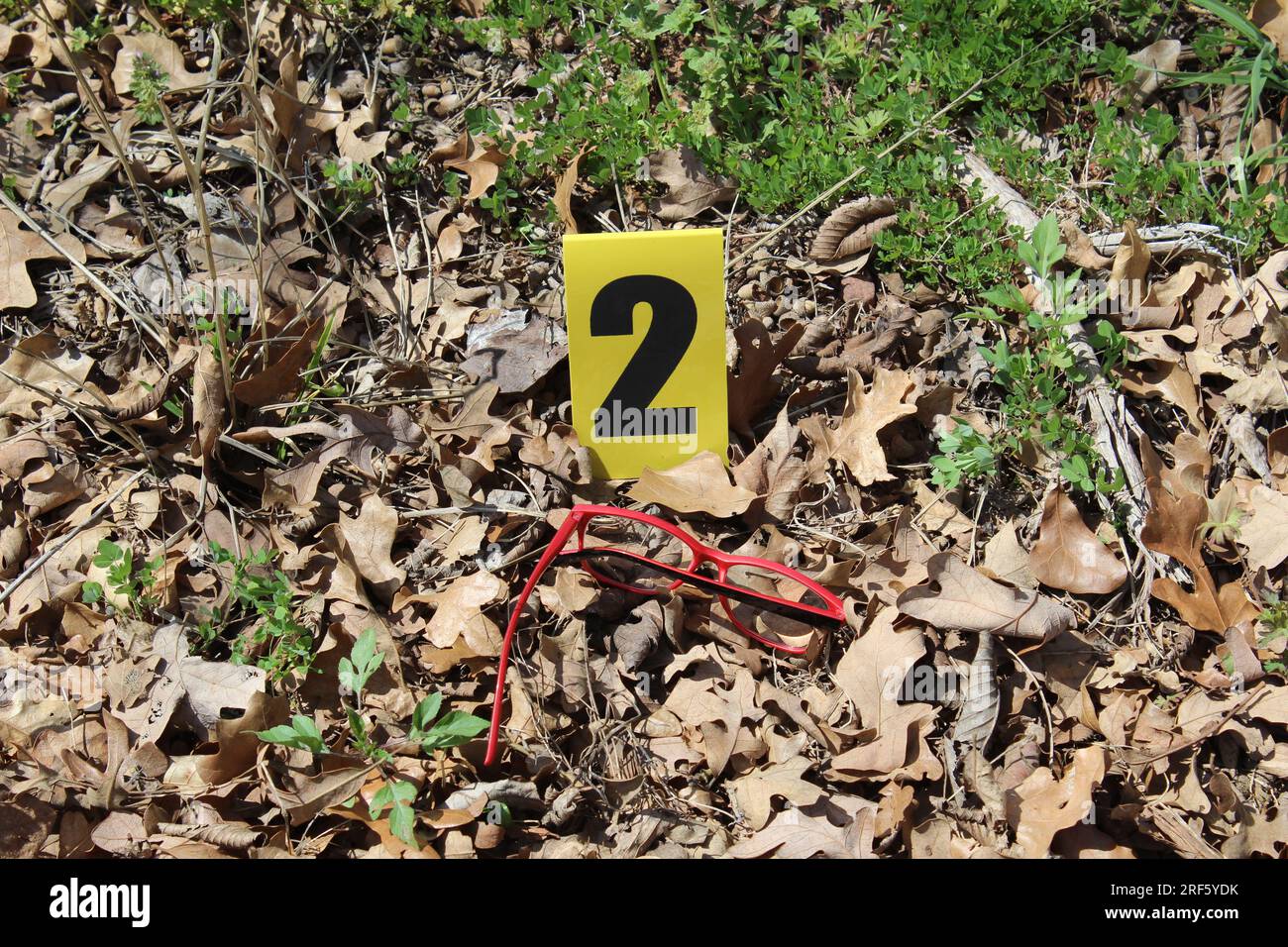 Crime scene marker hi-res stock photography and images - Alamy
