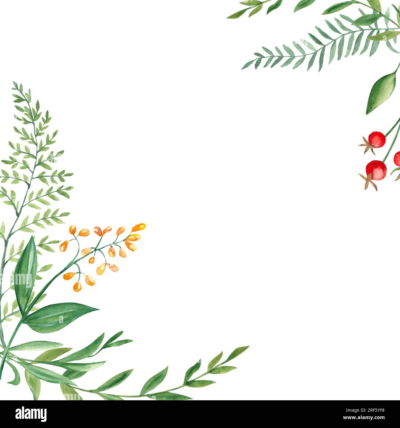 Watercolor square forest frame, border with fern, green branches, red ...