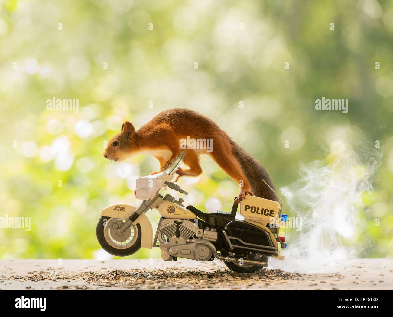 Police motor cycle hi-res stock photography and images - Alamy