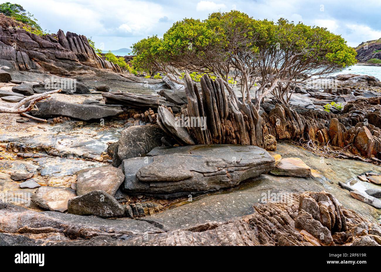 Rocks and vegetation at the very tip of Cape York Peninsula ...