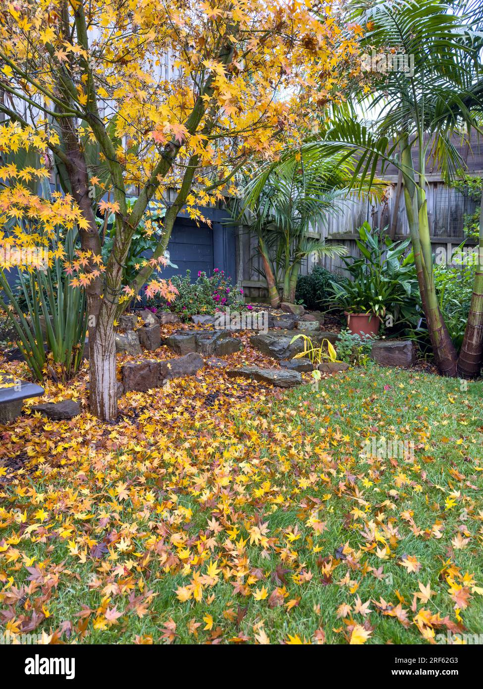 Fall season at the garden hi-res stock photography and images - Alamy