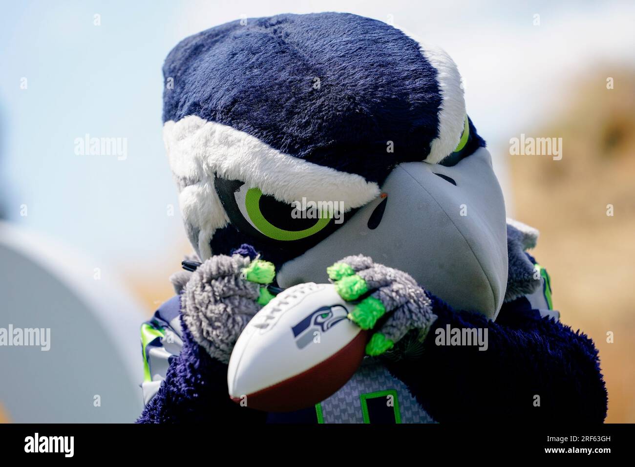 Blitz the Seahawk signs a ball during a Seattle Seahawks "Back Together ...
