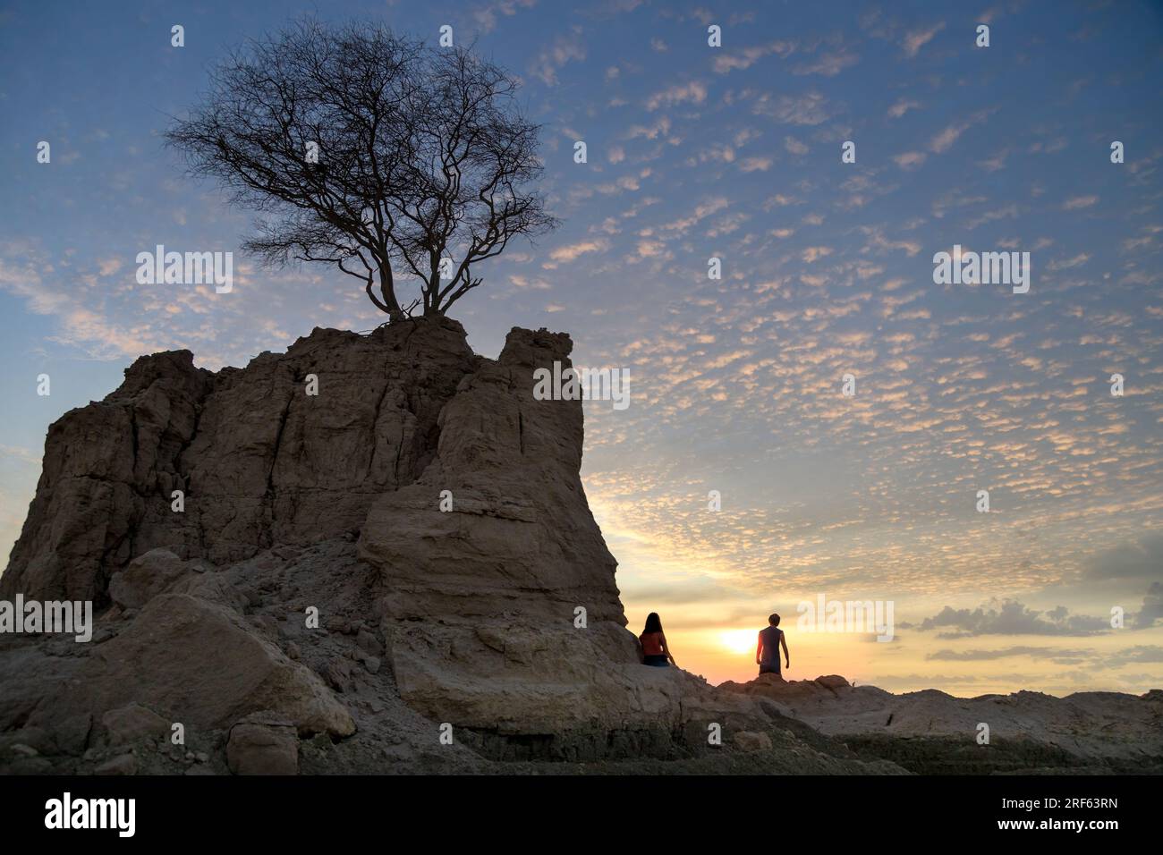 Lonely tree silhouette sea hi-res stock photography and images - Alamy