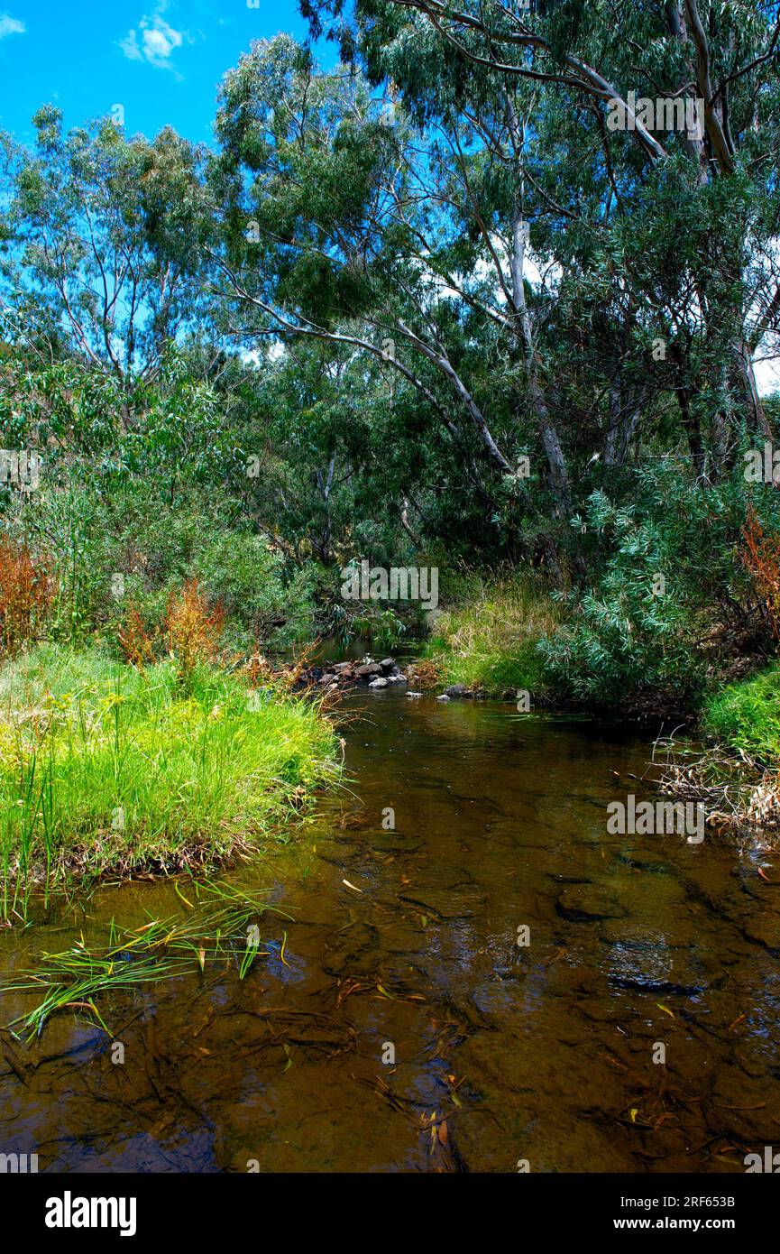 This quiet creek runs along below the exposed basalt columns, called ...