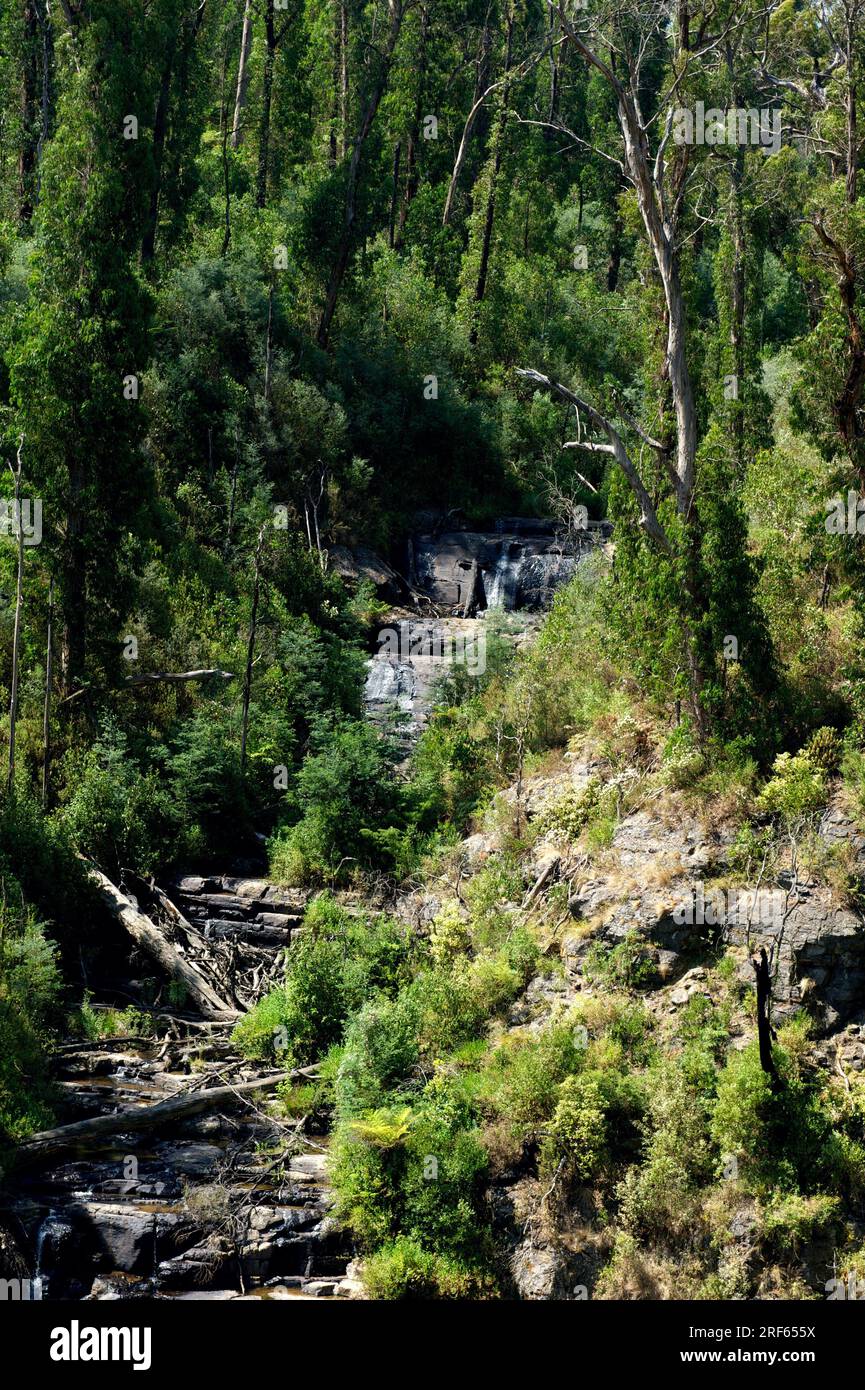 After the 2009 fires lots of views have opened up in Kinglake National ...