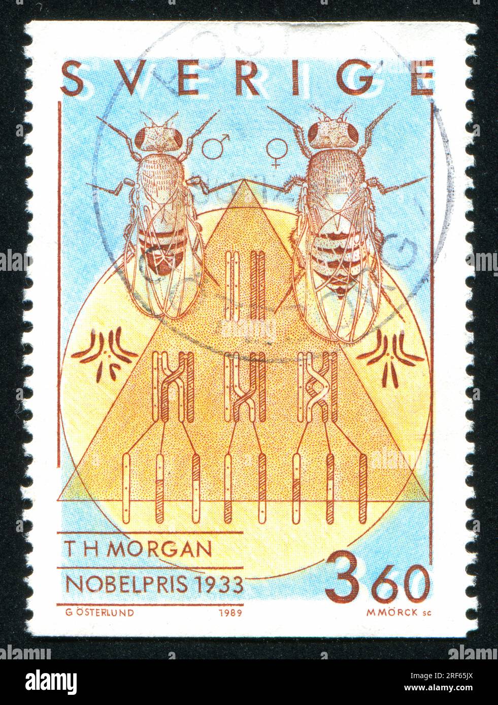 SWEDEN - CIRCA 1989: stamp printed by Sweden, shows Fruit fly, circa ...