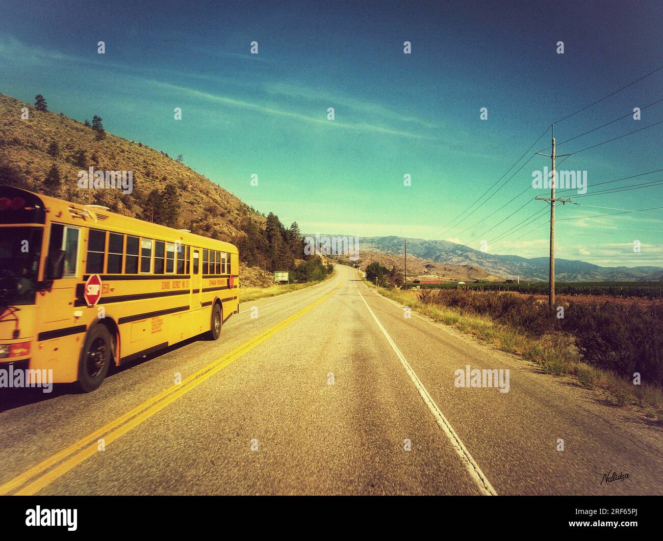 Canadian school bus hi-res stock photography and images - Alamy