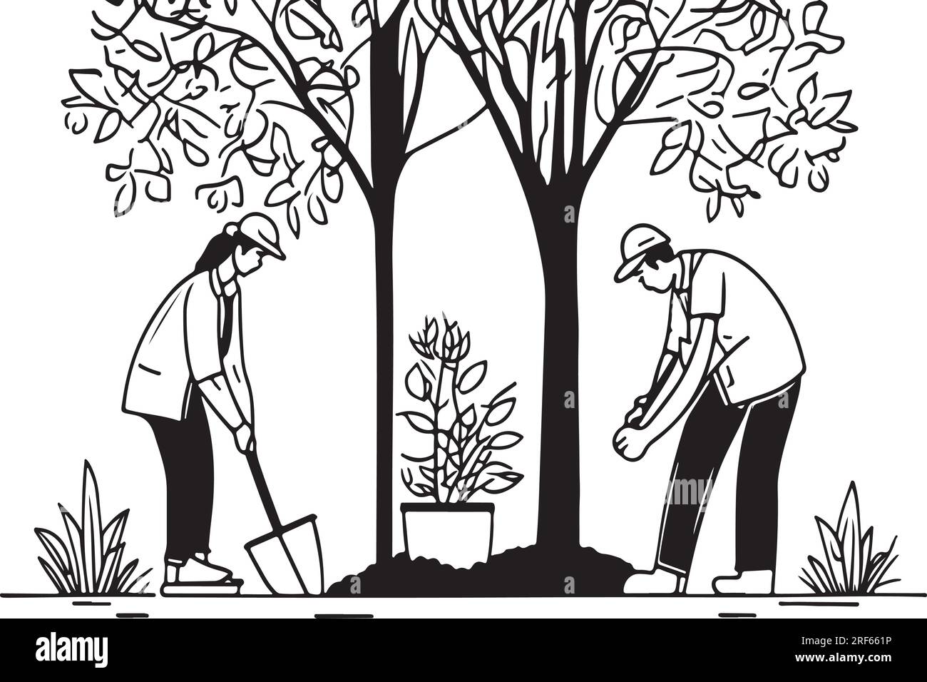 Reforestation Drawing