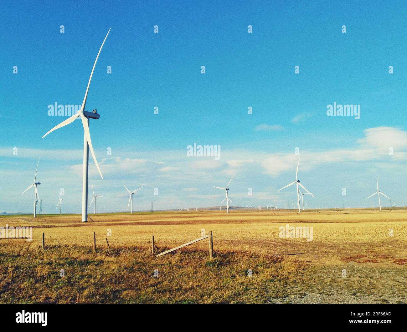 Wind farm in Canadian Prairies landscape near Pincher Creek, Alberta ...